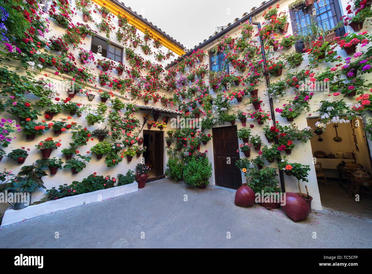 Garden patio structure hi-res stock photography and images - Alamy