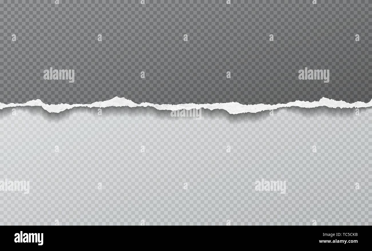 Piece of torn horizontal paper strip is on grey squared background ...