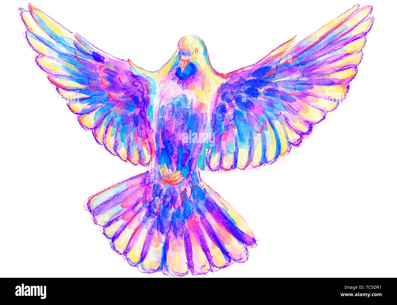 Watercolor and digital watercolor illustration of a bird, a pigeon in ...
