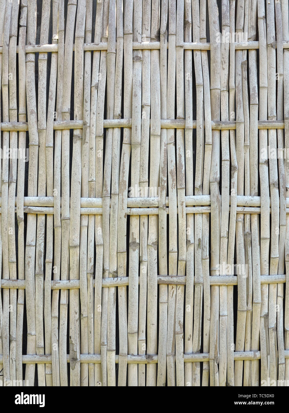 Stem pattern and texture hi-res stock photography and images - Alamy