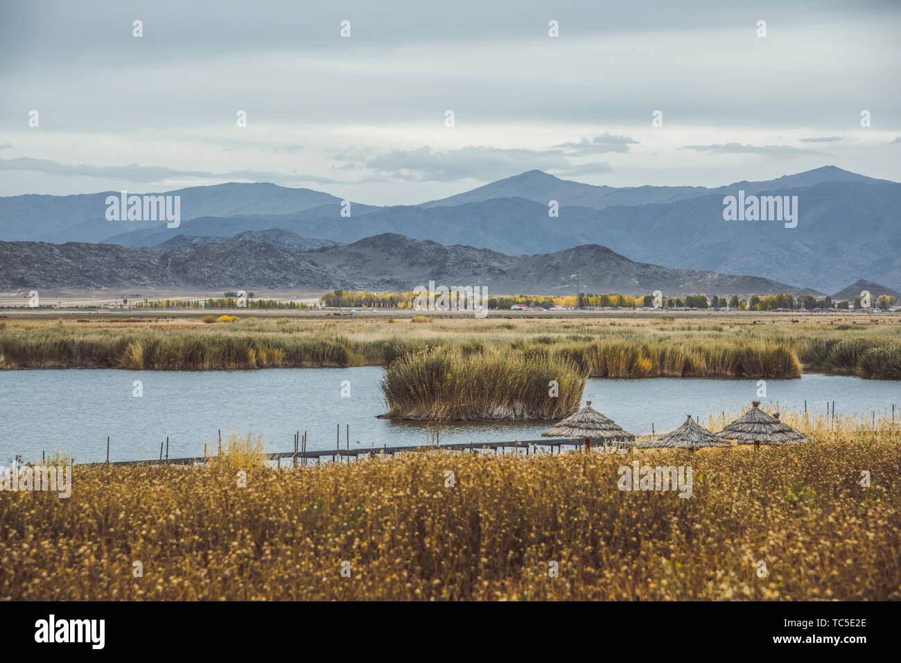 Coco Suri scenery Stock Photo - Alamy