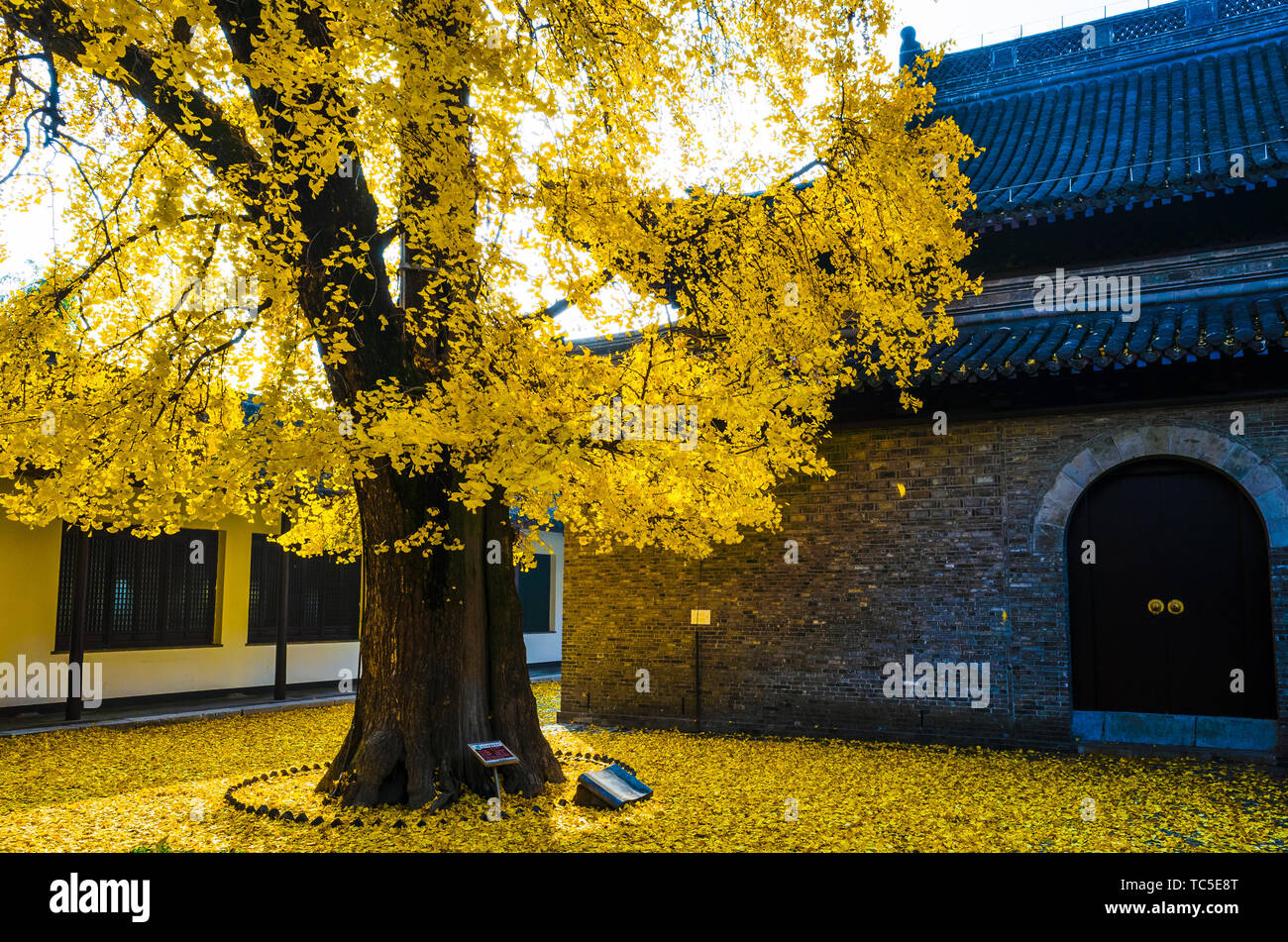 Eight monsters memorial hall hi-res stock photography and images - Alamy