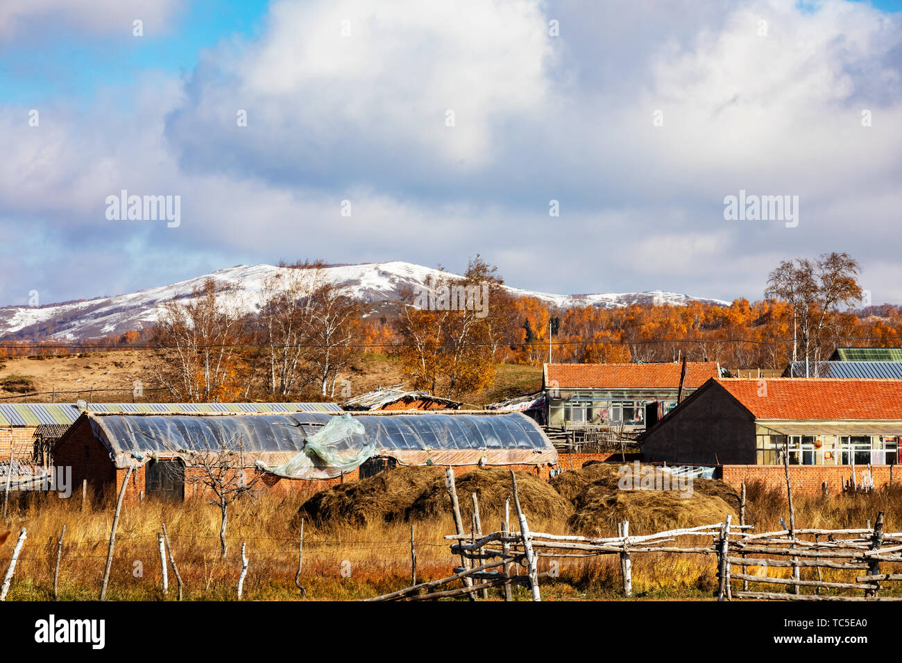 Autumn color on the dam Stock Photo - Alamy