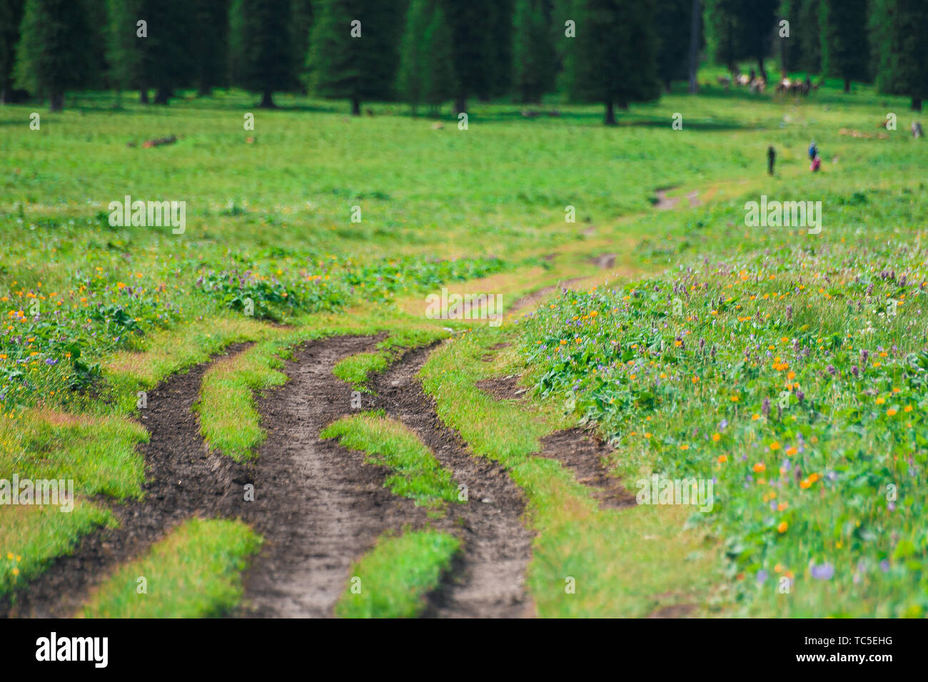 Sky fade road hi-res stock photography and images - Alamy