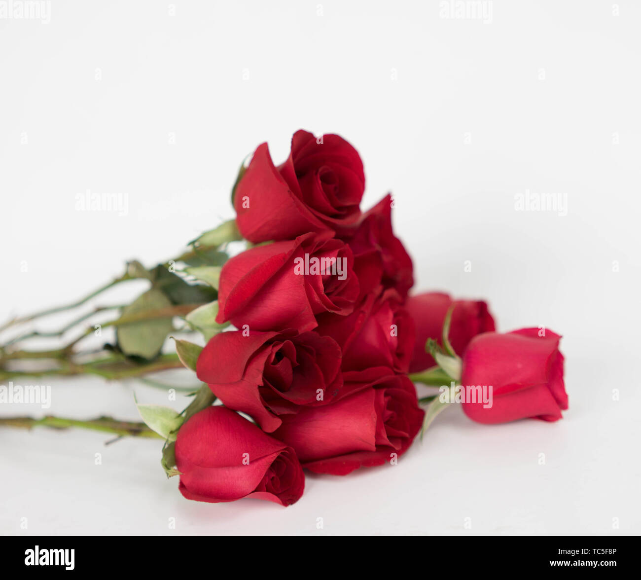 Fresh red roses Stock Photo - Alamy