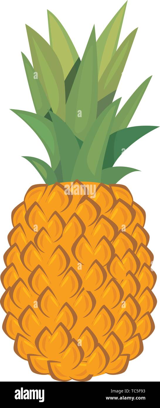 pineapple nutrition fresh fruit vector illustration design Stock Vector ...