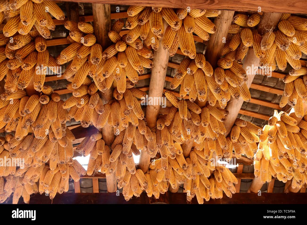 Corn folk houses hi-res stock photography and images - Alamy