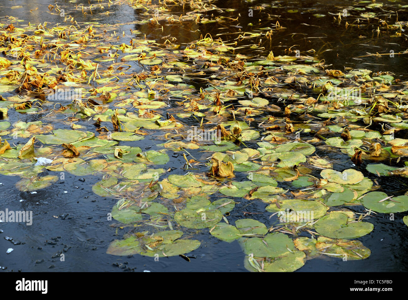 Water backstage environment hi-res stock photography and images - Alamy