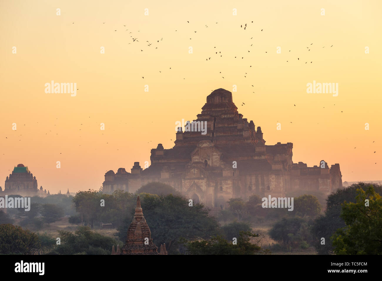 Pugan hi-res stock photography and images - Alamy