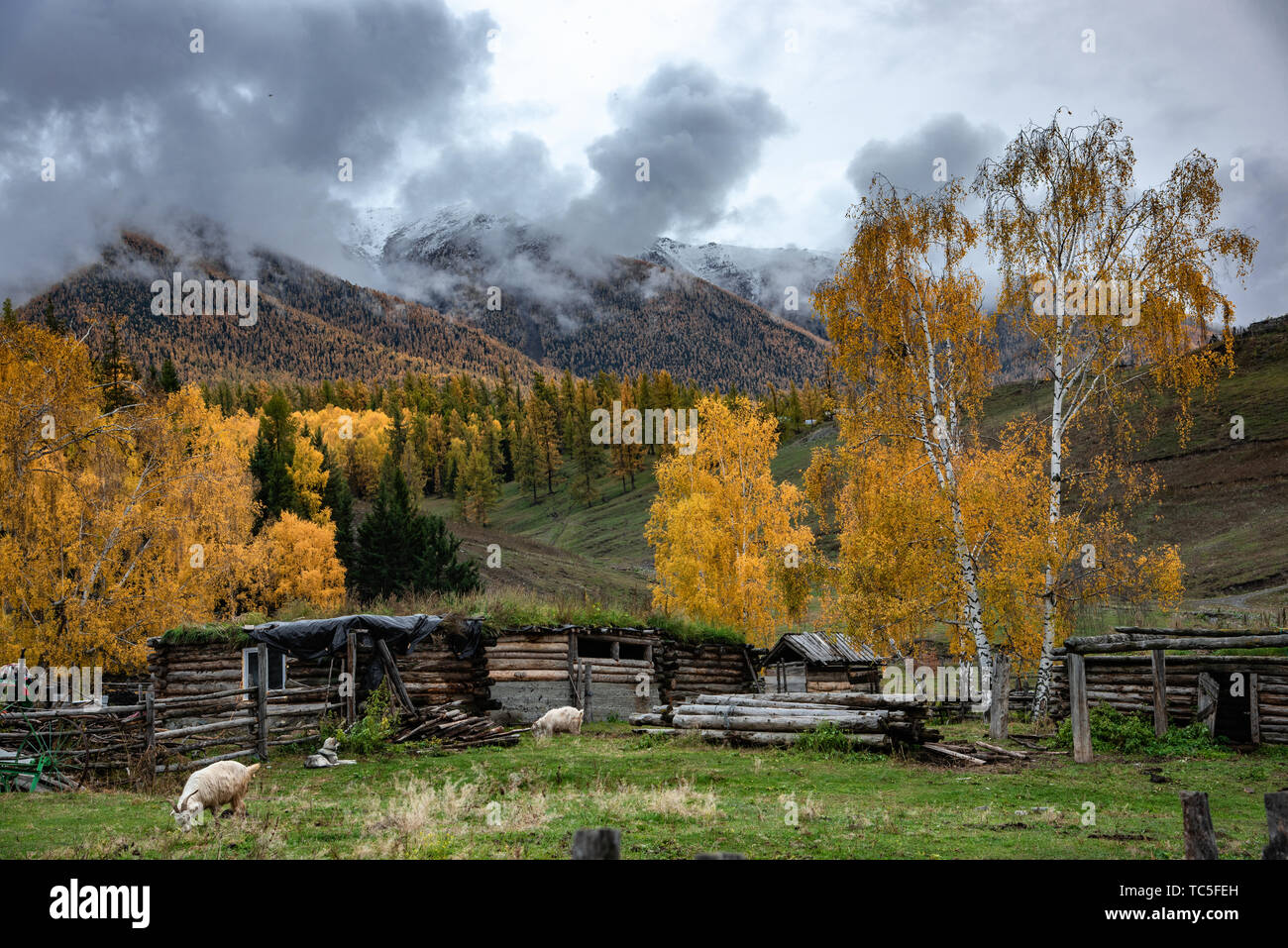 Beautiful country pastoral scenery hi-res stock photography and images ...