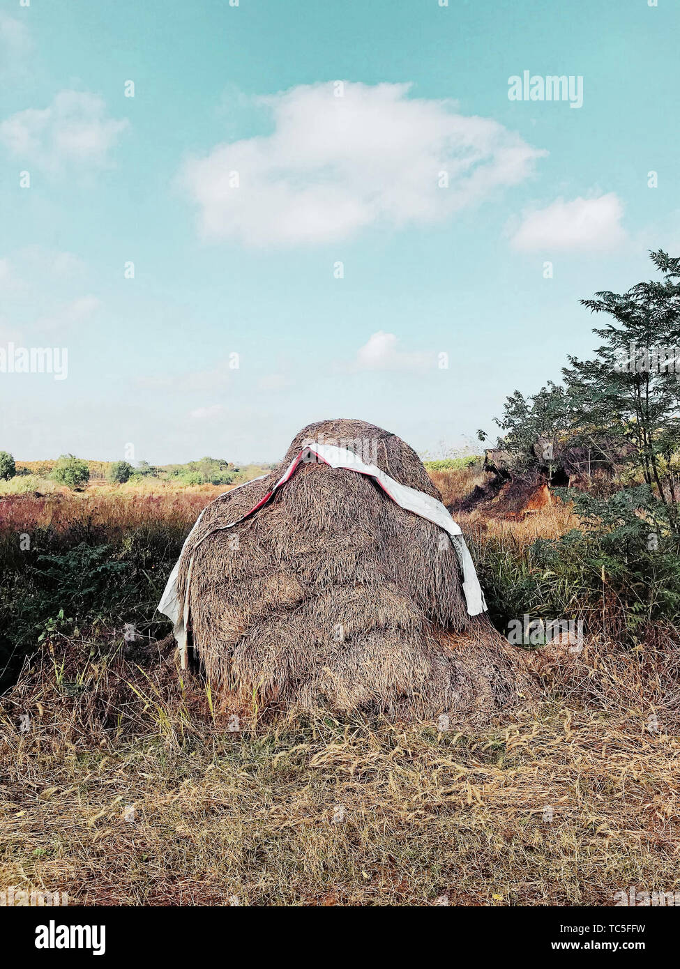 Stacking up the farms of wild animals and villages hi-res stock ...