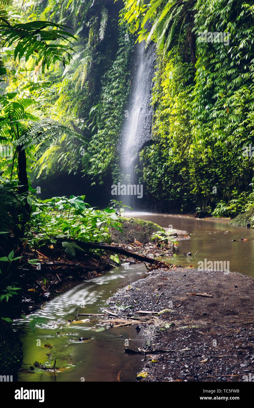 View at Tukad Cepung waterfall at Bali, Indonesia Stock Photo - Alamy
