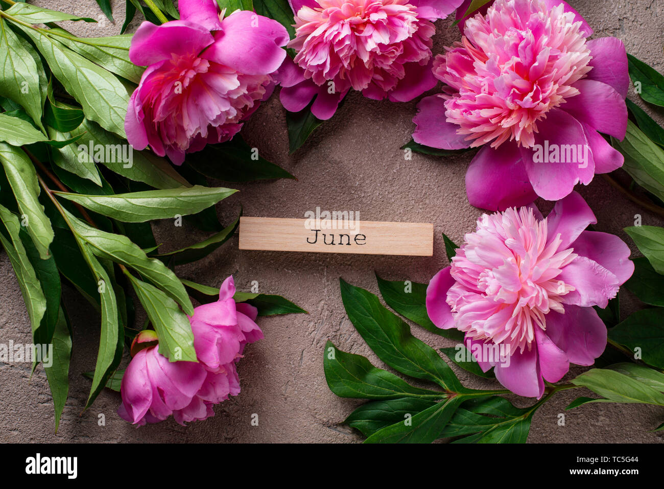 Pink peony flowers on light background. June concept Stock Photo - Alamy