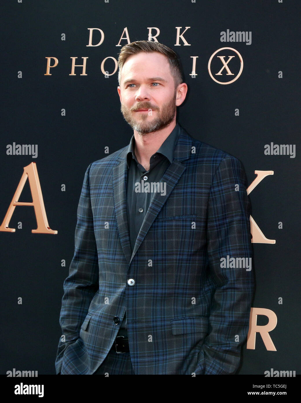 June 4, 2019 - Los Angeles, CA, USA - LOS ANGELES - JUN 4: Shawn ...