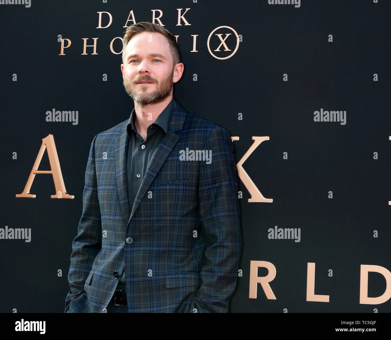 June 4, 2019 - Los Angeles, CA, USA - LOS ANGELES - JUN 4: Shawn ...