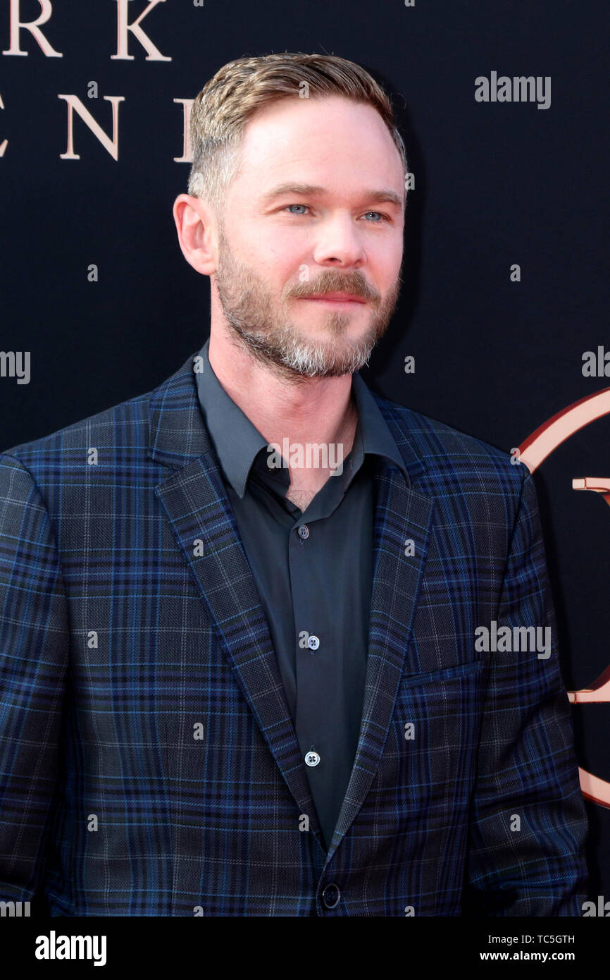 June 4, 2019 - Los Angeles, CA, USA - LOS ANGELES - JUN 4: Shawn ...