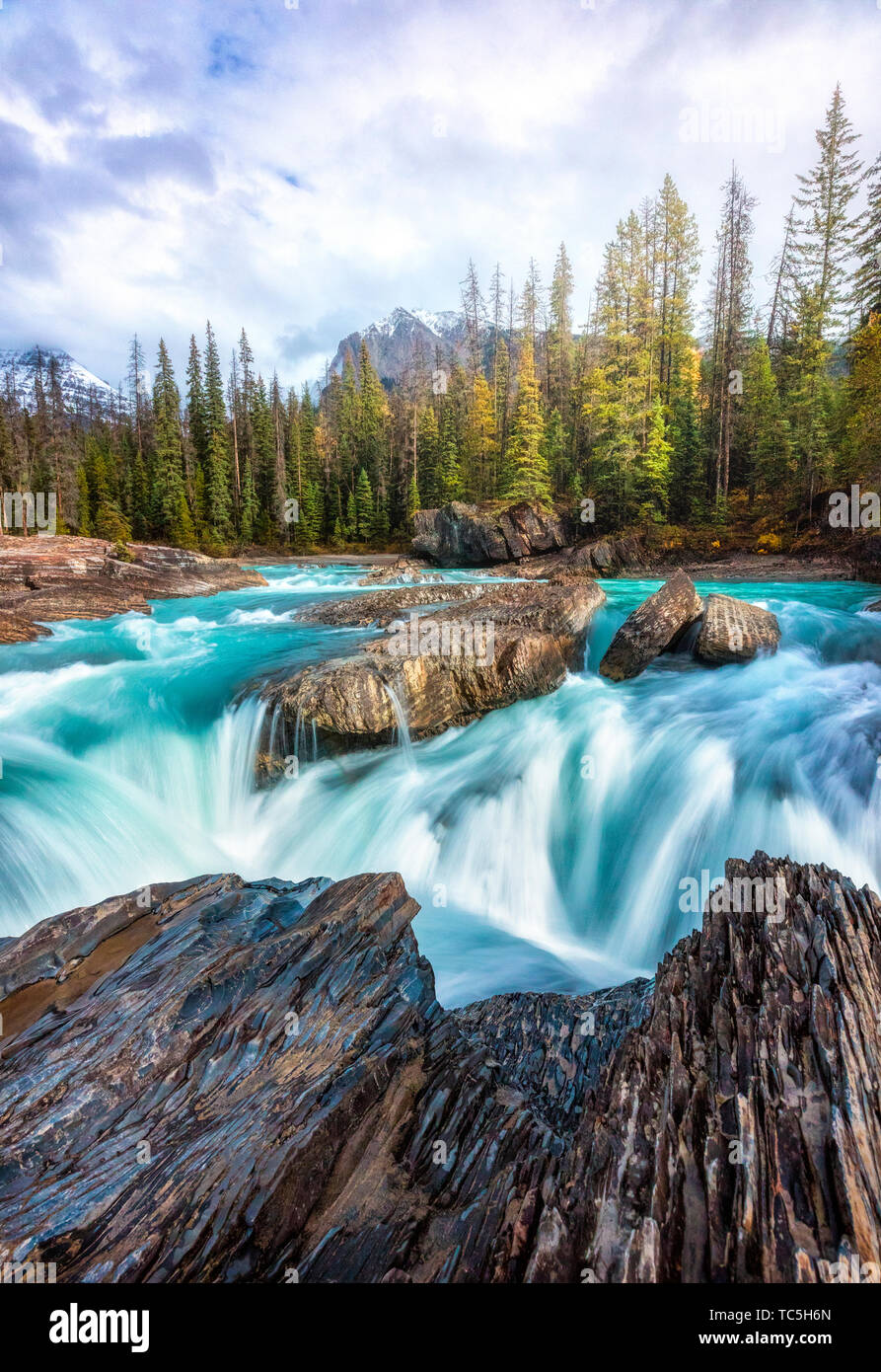 Naturebridge hi-res stock photography and images - Alamy