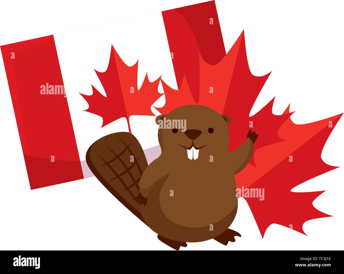 beaver with canadian flag and maple leaf Stock Vector Image & Art - Alamy