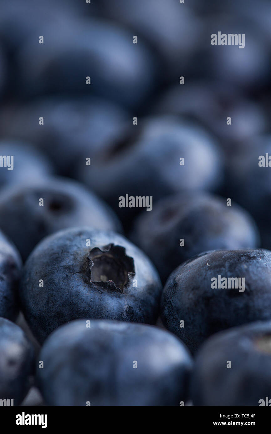 Full screen blueberry close-up aperture Stock Photo - Alamy