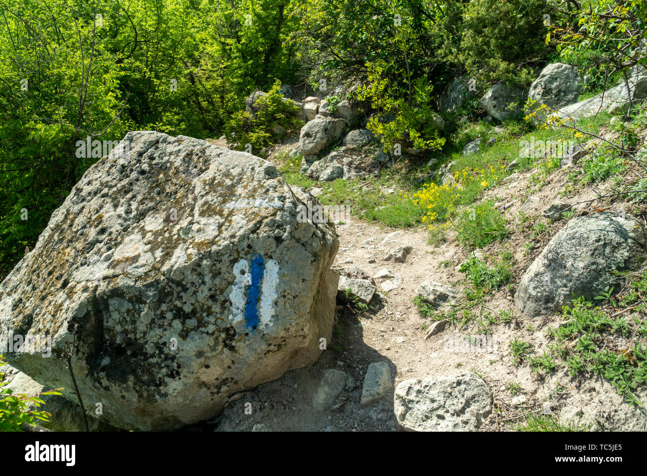 The entrance to the womb cave alos known as Utroba cave near Kardzhali ...