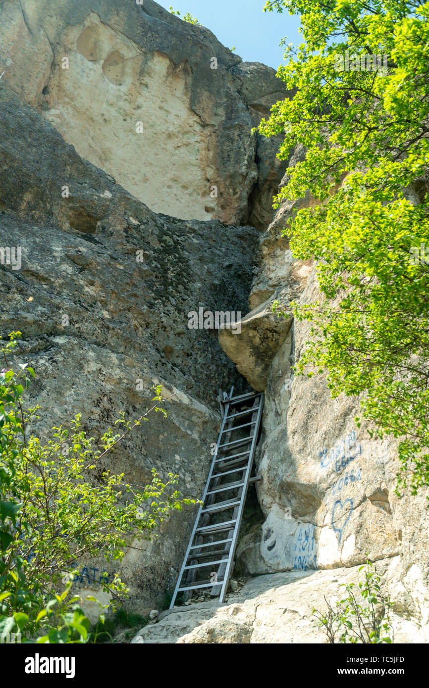 Utroba hi-res stock photography and images - Alamy