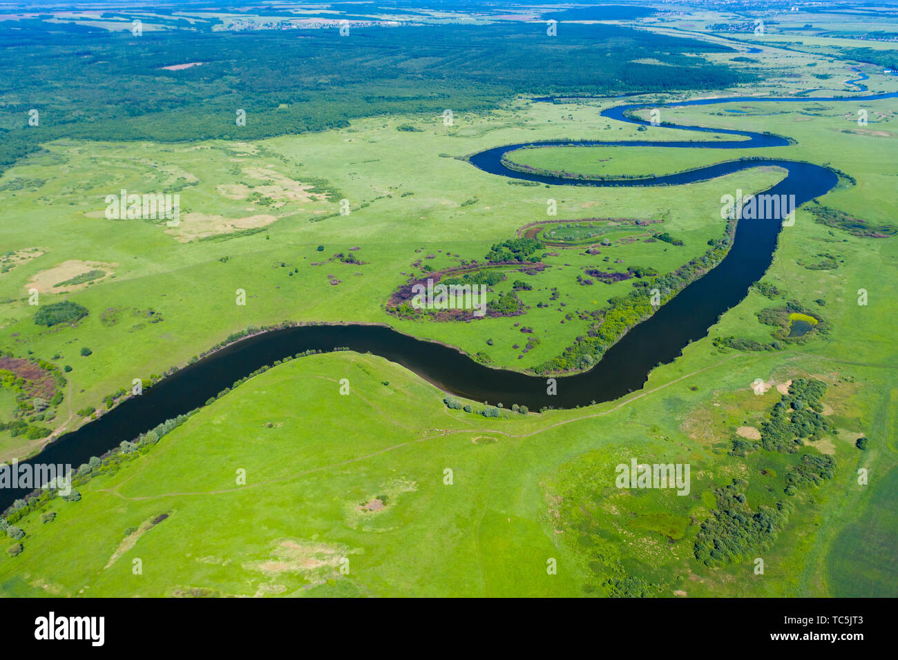 Aerial view lush wetlands hi-res stock photography and images - Alamy
