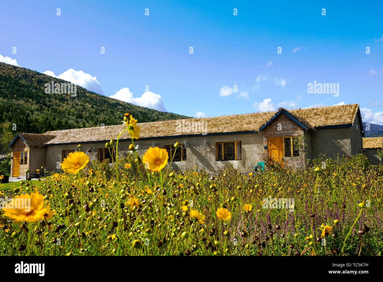 Alshan hi-res stock photography and images - Alamy