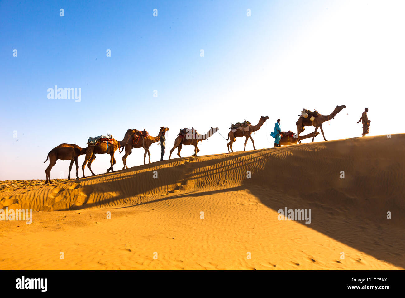 Thar desert india caravan hi-res stock photography and images - Alamy