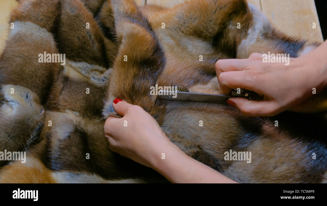 Tailor repairing fur coat Stock Photo - Alamy