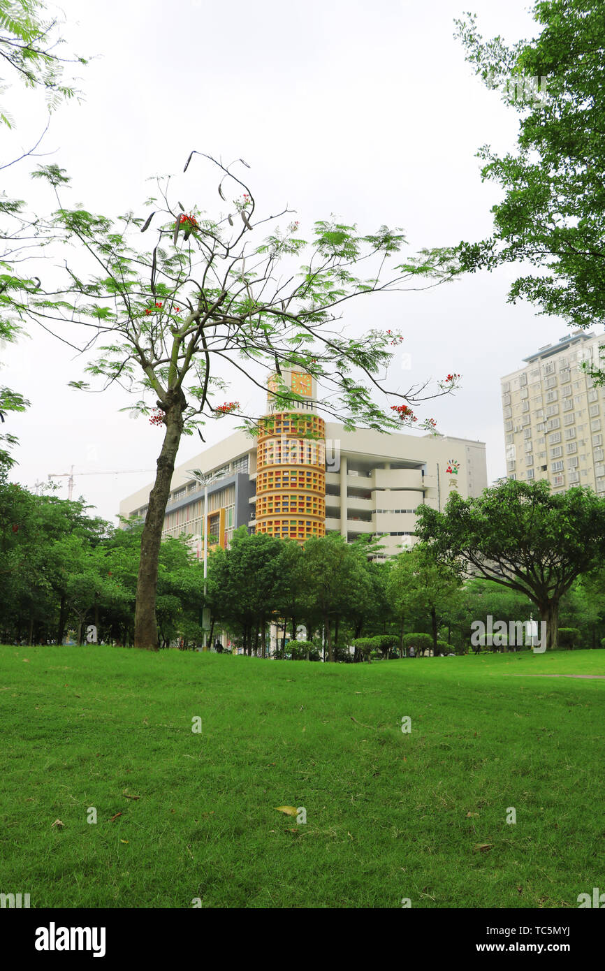 City greening street trees hi-res stock photography and images - Alamy
