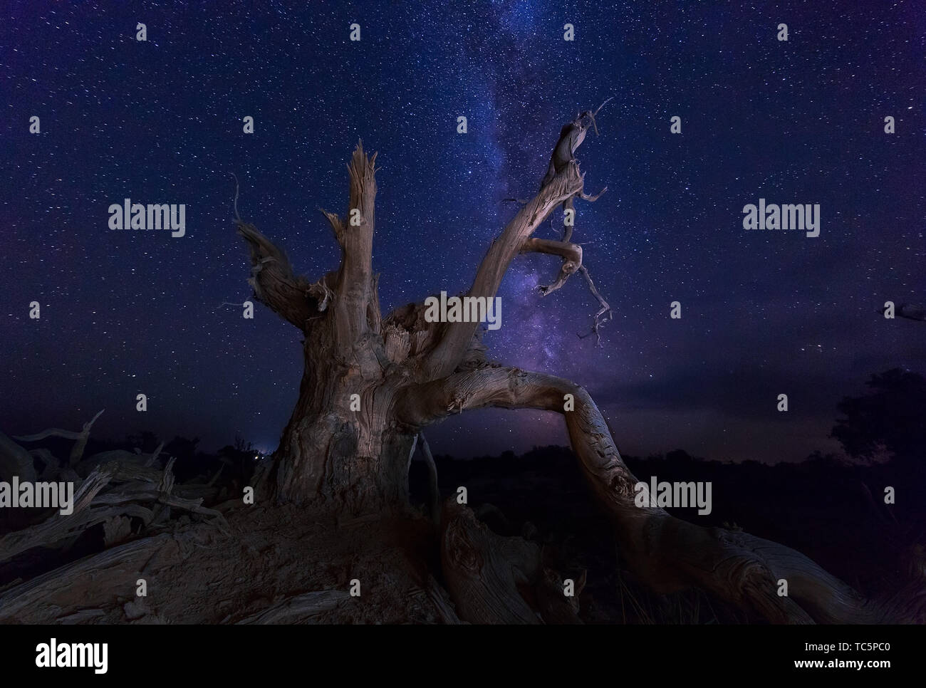 Hu yang lin night Stock Photo - Alamy