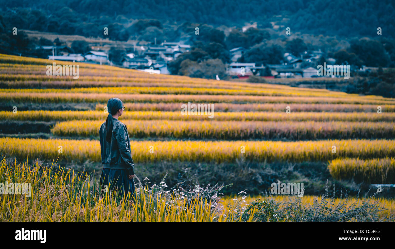 Tacheng terraces, Yunnan Stock Photo - Alamy