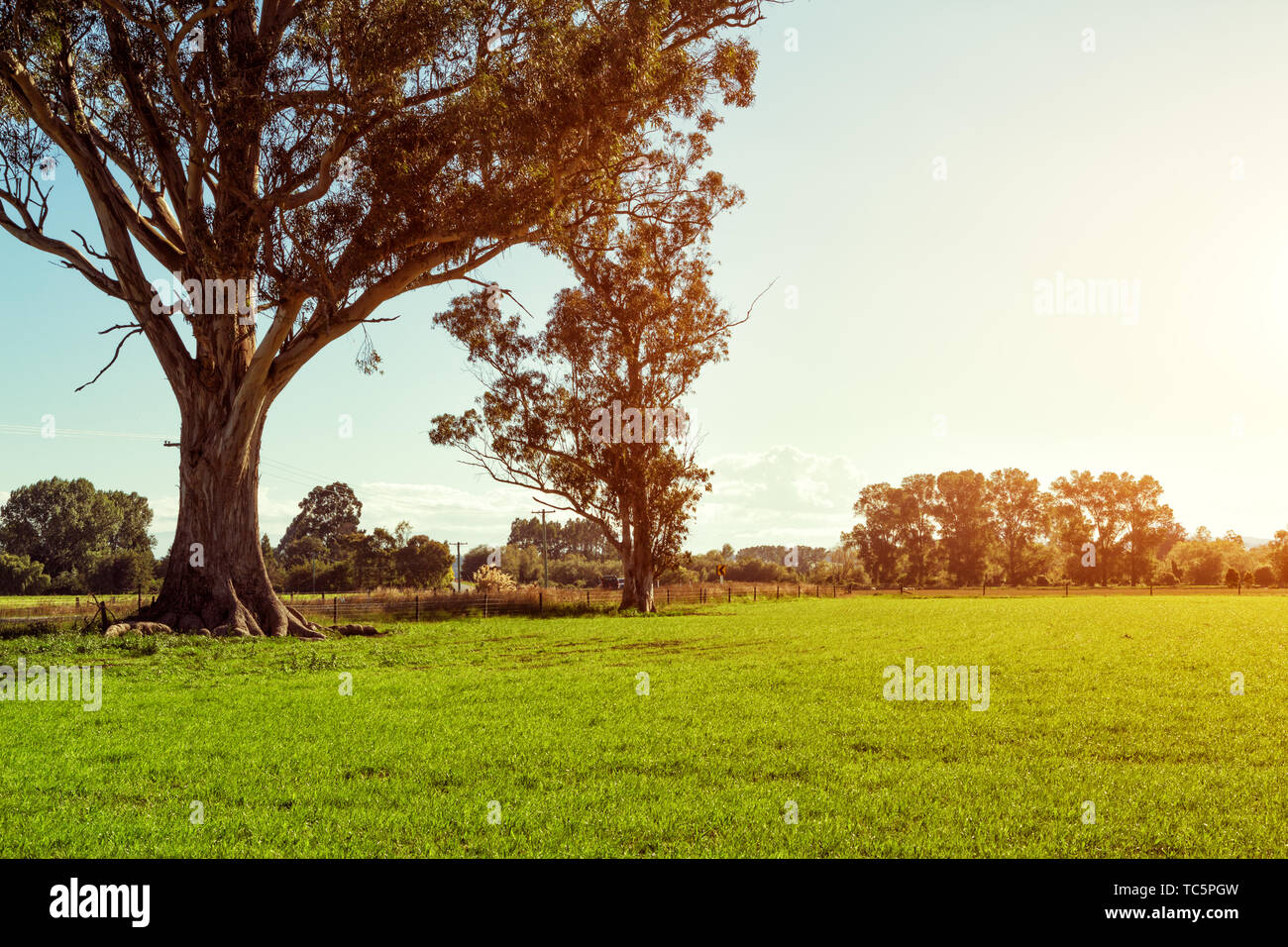 Sun and comfortable weather and beautiful scenery hi-res stock ...