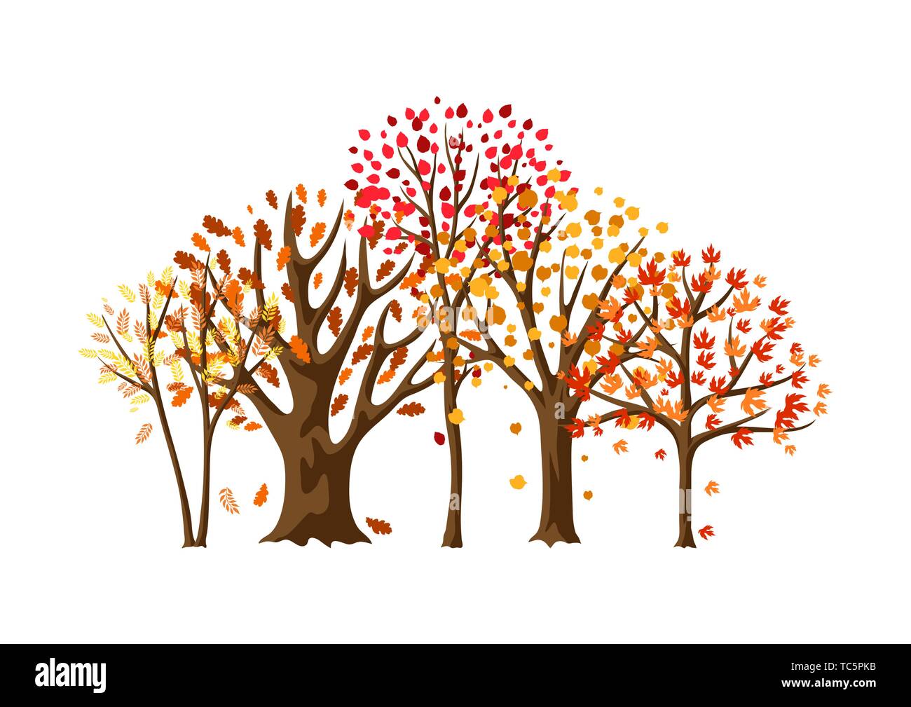Mountain maple fall trees Stock Vector Images - Alamy