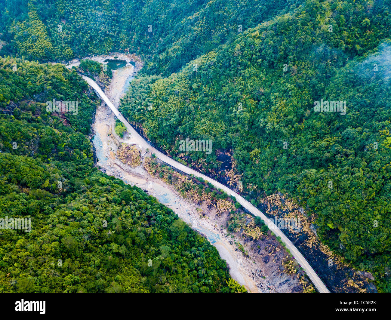 Birds of fujian hi-res stock photography and images - Alamy