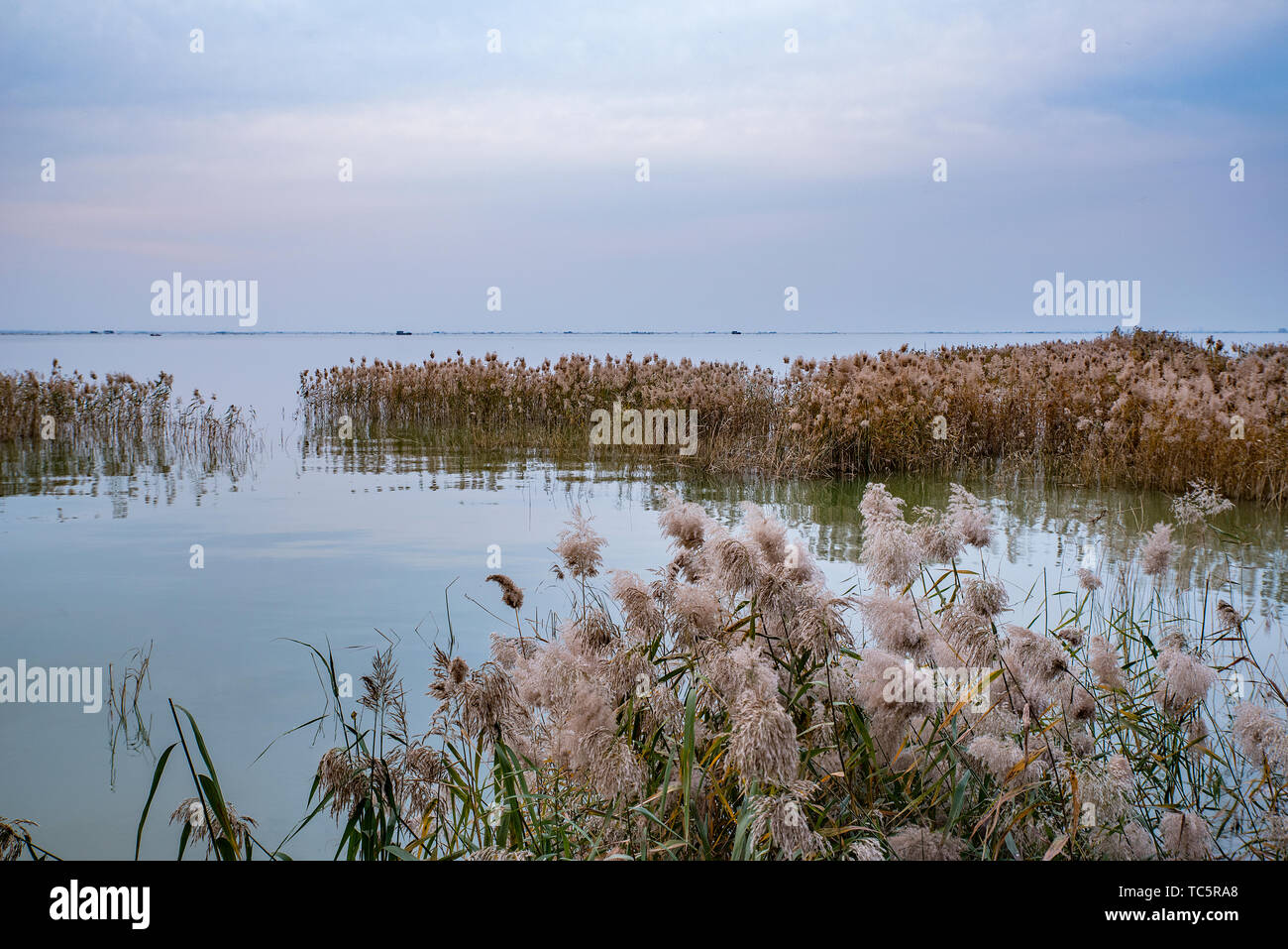 Luoma Lake, Suqian City Stock Photo - Alamy