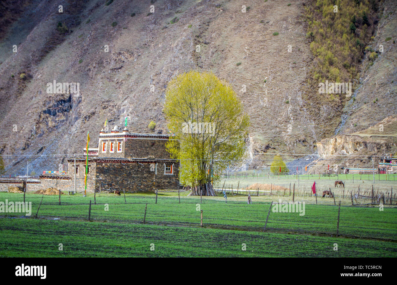 Sky outdoor no one has lawns scenic scenic tourism hi-res stock ...