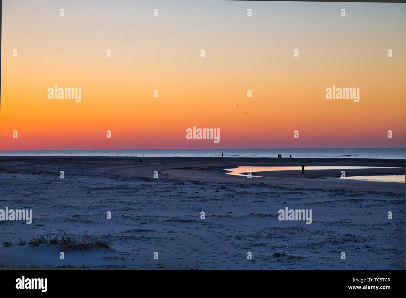 Predawn light hi-res stock photography and images - Alamy