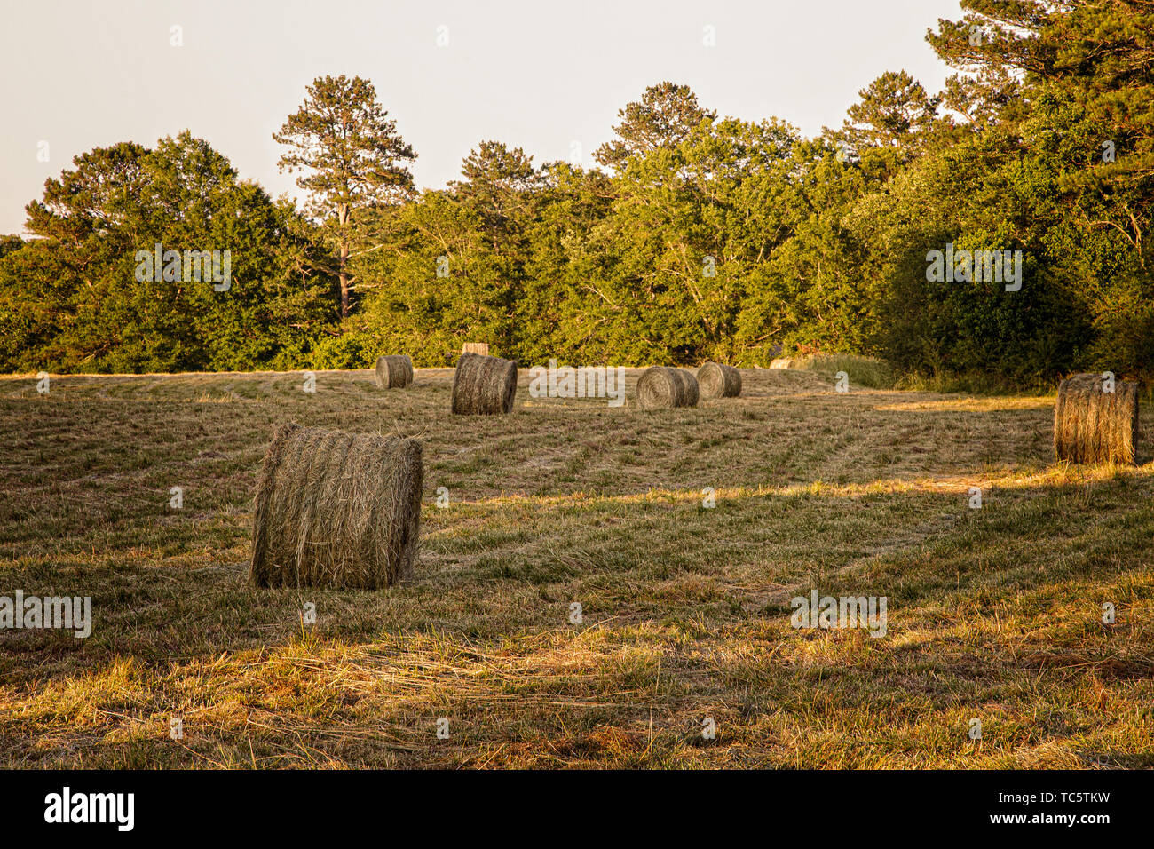 Dry country farming hi-res stock photography and images - Alamy