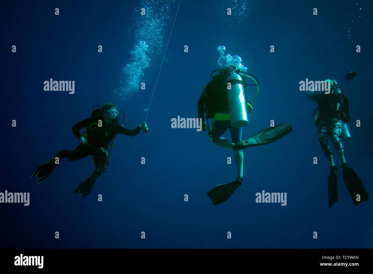 Group of diver making the safety stop just under the surface Stock ...