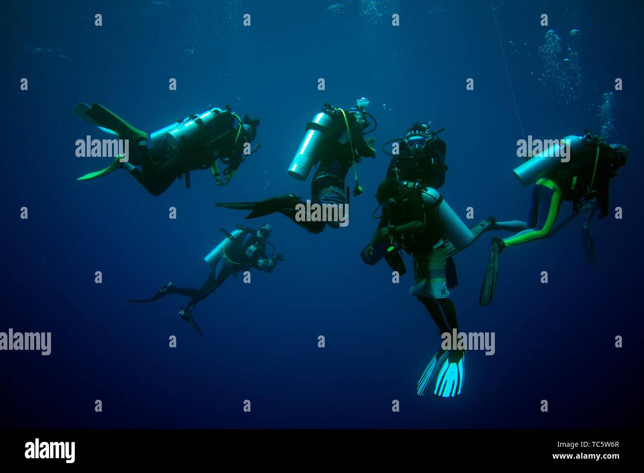 Safety stop hi-res stock photography and images - Alamy