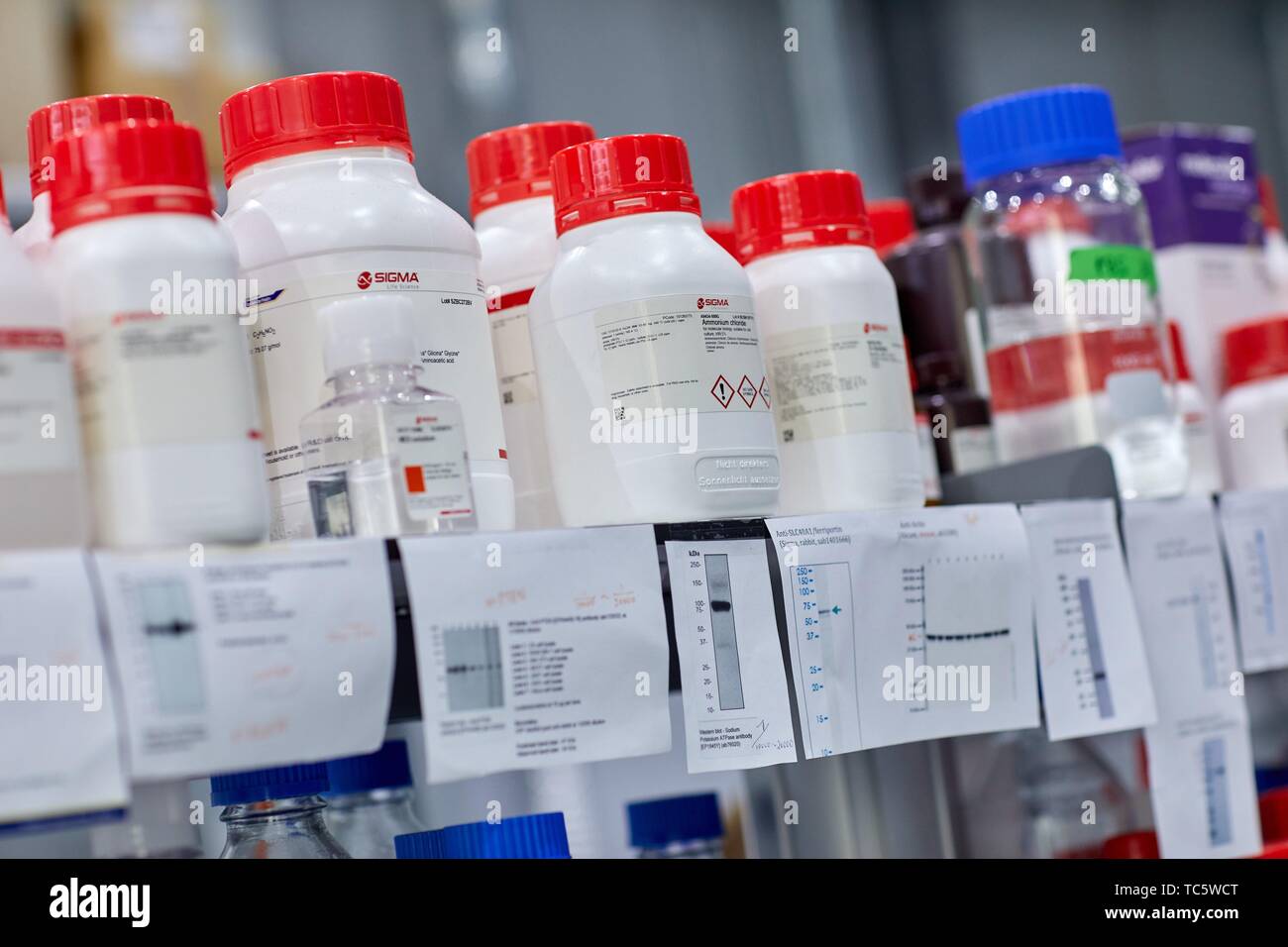 Inside laboratory hi-res stock photography and images - Alamy