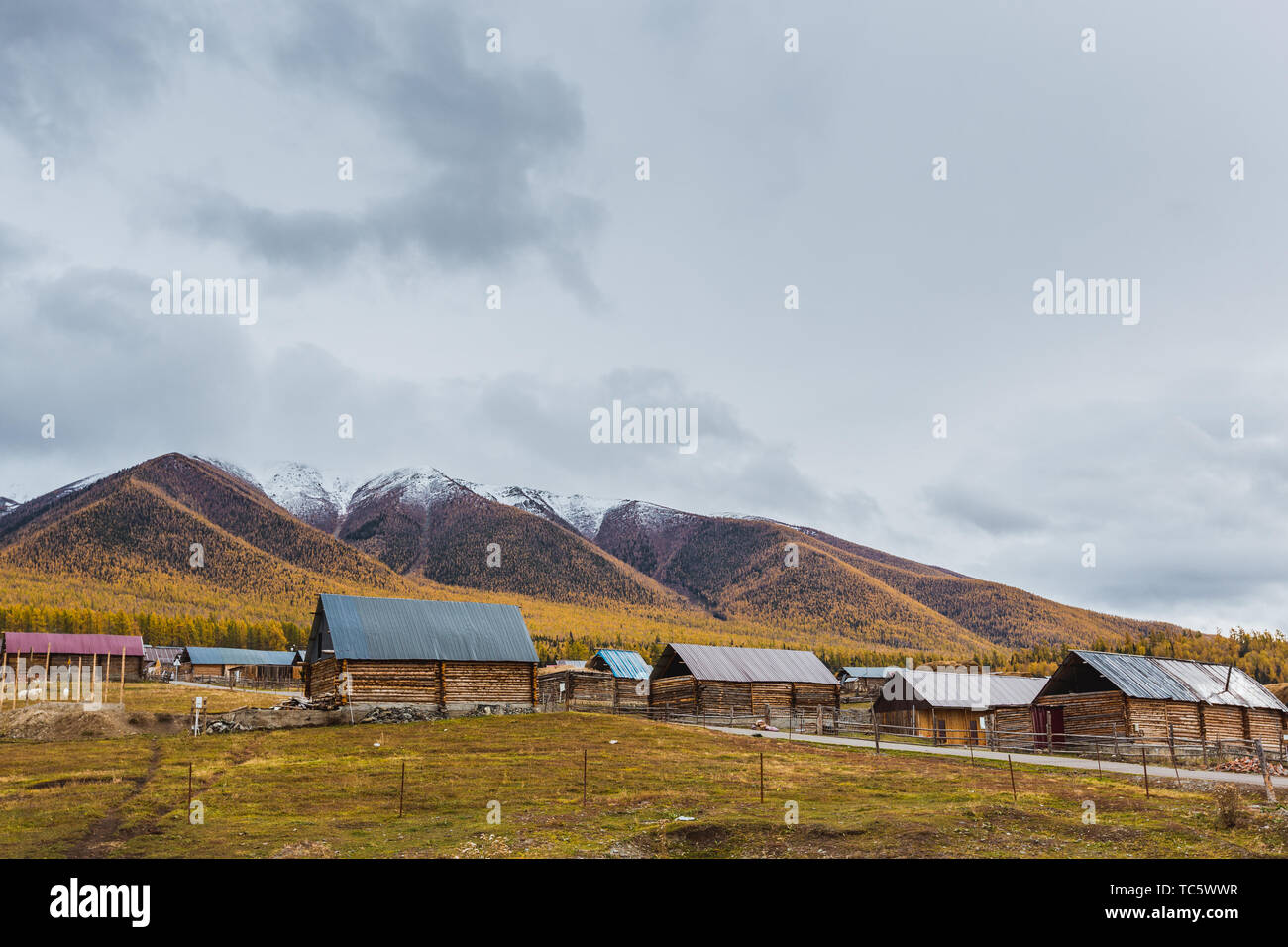 Bai haba village scenery in northern Xinjiang Stock Photo - Alamy