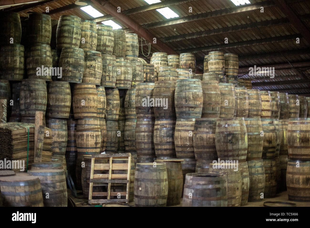 Louisville, Kentucky - Workers at Kelvin Cooperage make oak barrels for ...