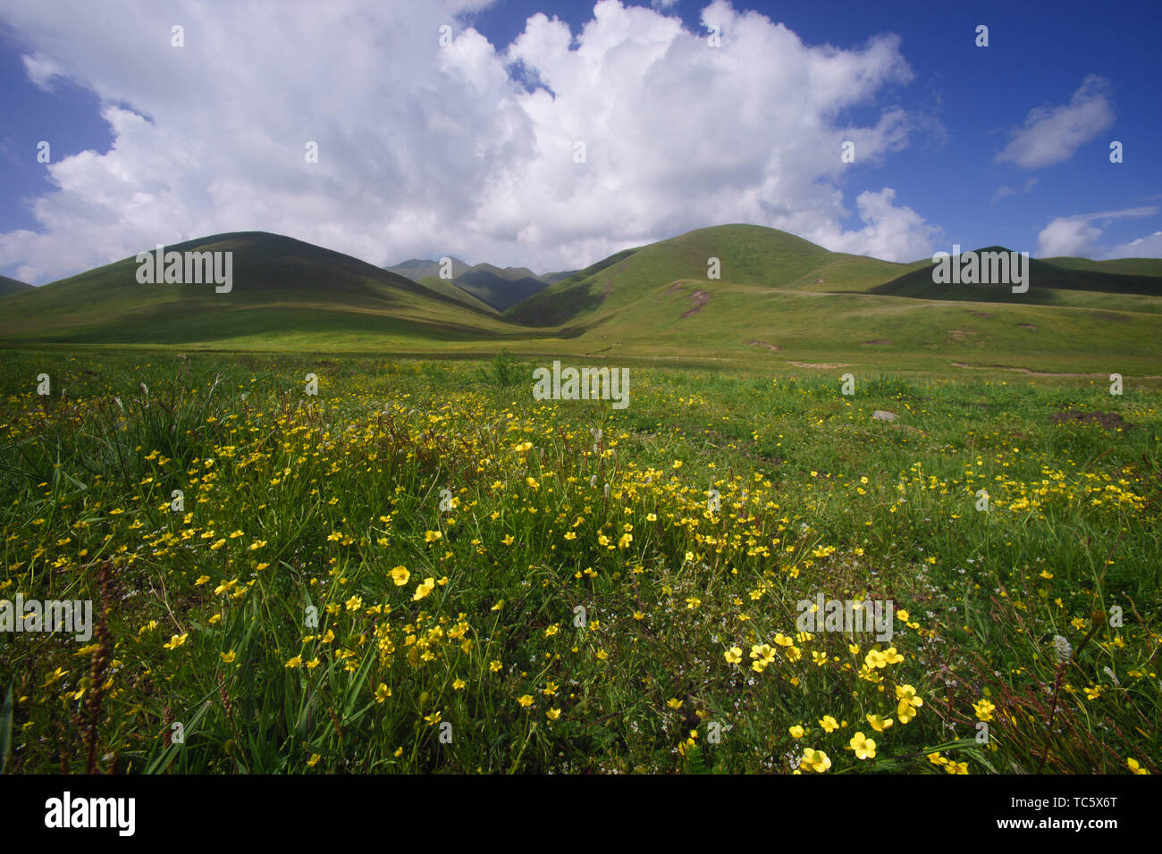 Sanke prairie hi-res stock photography and images - Alamy