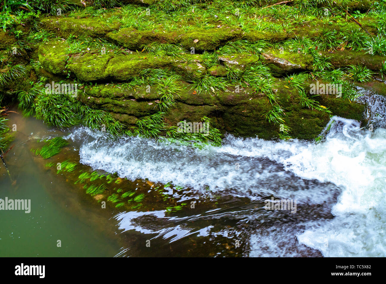A stream at the seam of the Wulong Long Water Gorge Stock Photo - Alamy