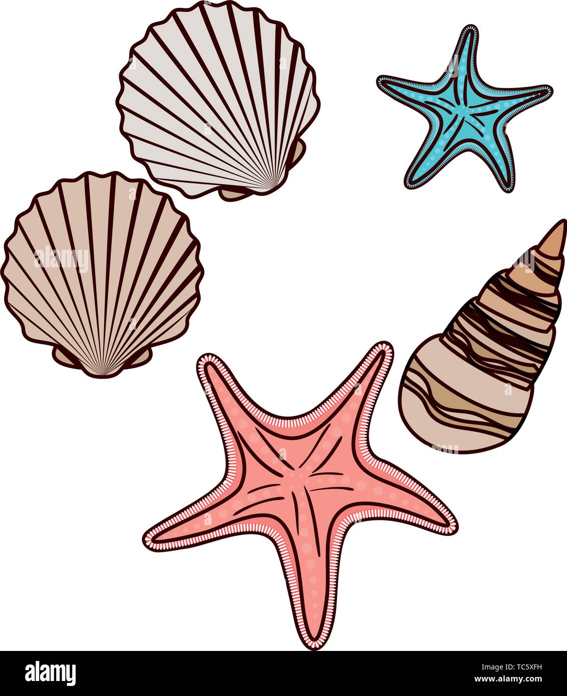 cute seashells on the sea in white background Stock Vector Image & Art ...