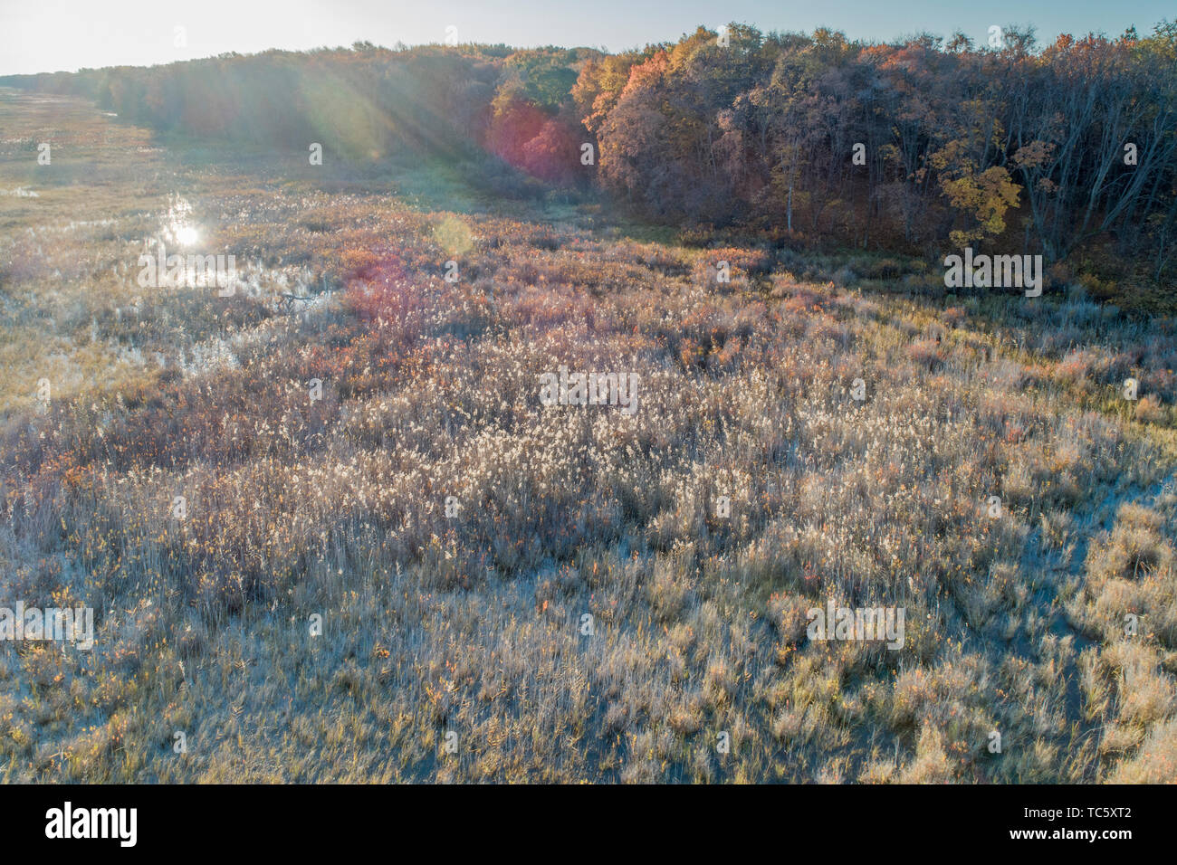 Sino-Russian border lake Xingkai lake autumn color Stock Photo - Alamy