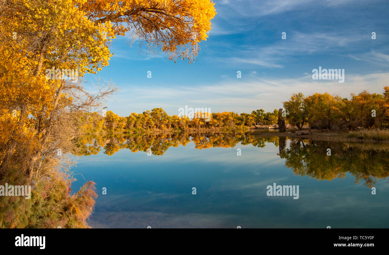 Lin yang hi-res stock photography and images - Alamy