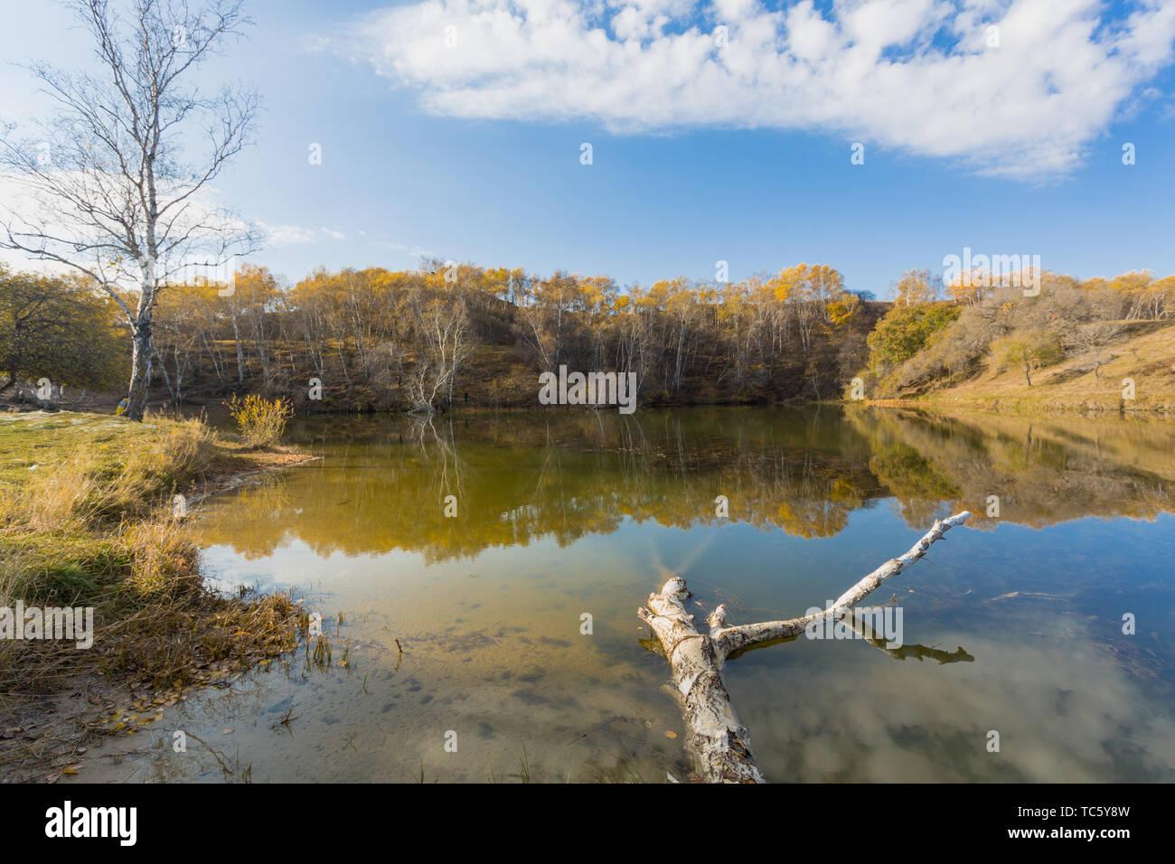 The wind on the barnacles Stock Photo - Alamy